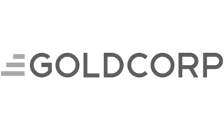 GOLDCORP - Center for Sustainbability & Excellence