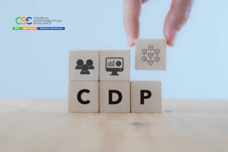 What you need to know on CDP